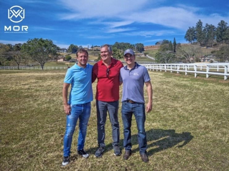 Haras Mor - Haras Mor